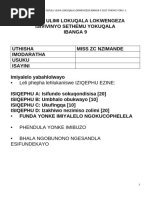 Impesheni Nezibonelelo Zomphakathi | PDF