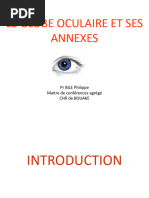 Anatomie du Corps Géniculé Latéral | PDF | Système visuel | Vision