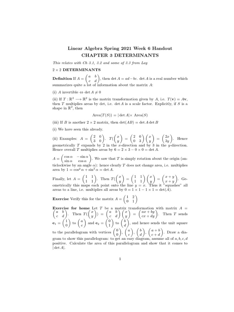 Understanding Determinants in Linear Algebra | PDF | Determinant ...
