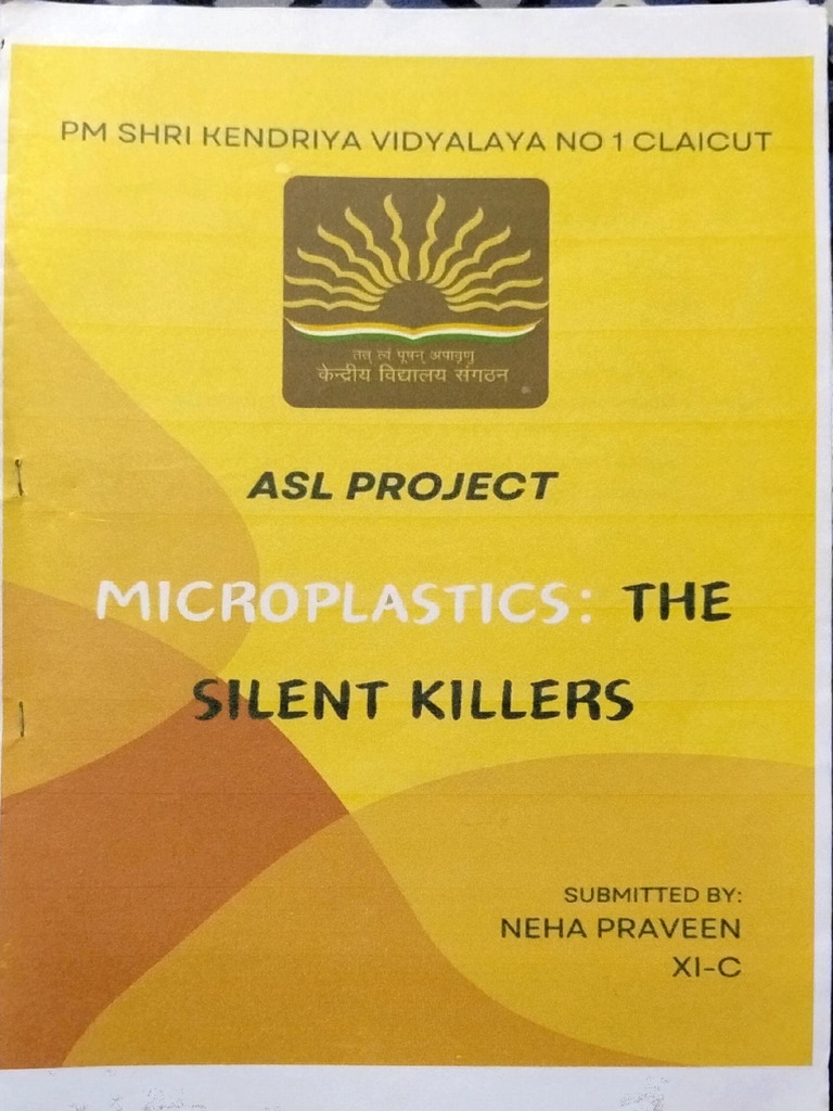 Sample Project | PDF