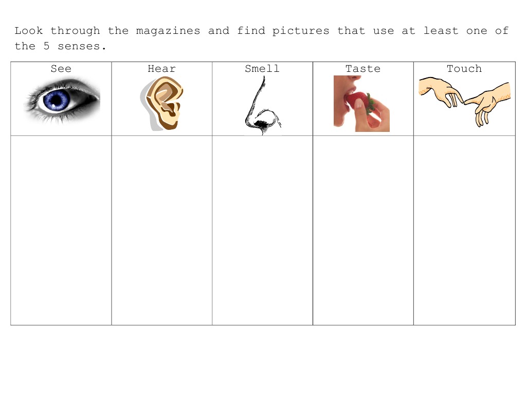 Sense Organs Activity for Preschoolers | PDF | Organ (Anatomy) | Senses