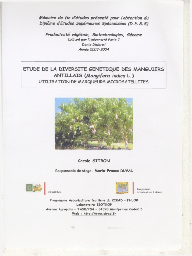 Diversité génétique des manguiers Antillais | PDF | Mangue | Sciences ...