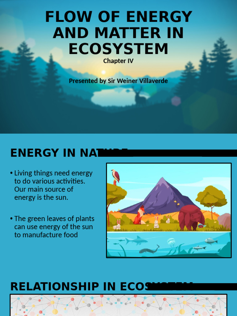 Flow of Energy and Matter in Ecosystem | PDF