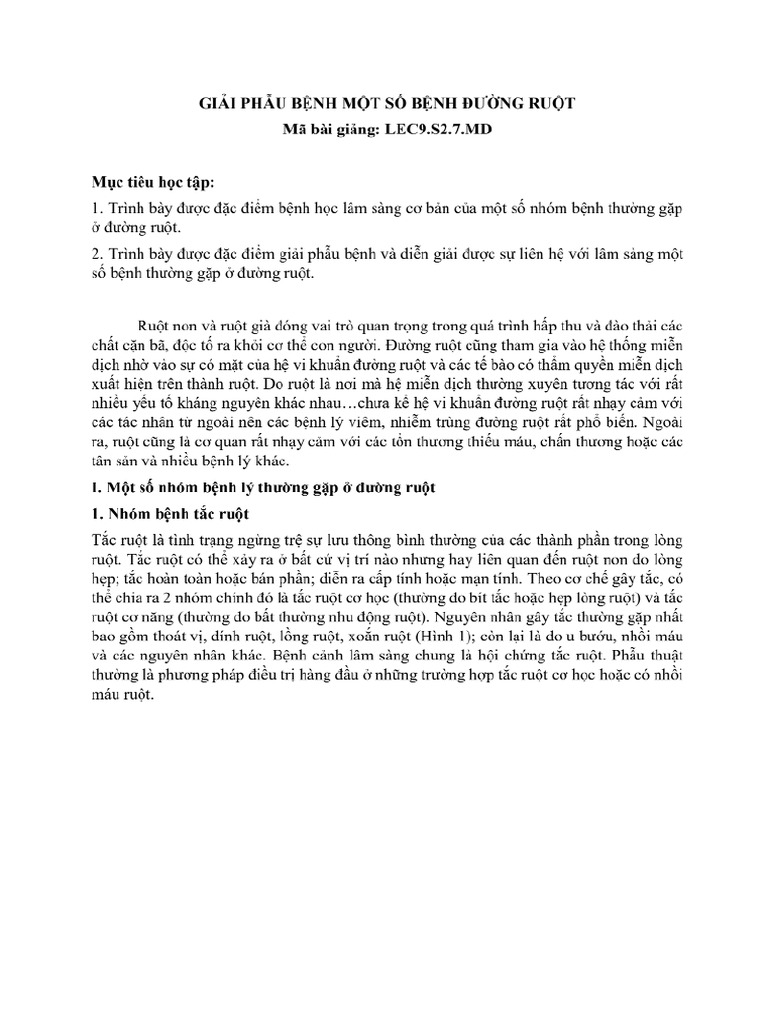 GPB Đư NG Ru T | PDF