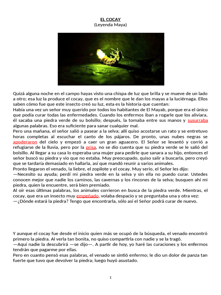 Cocay | PDF