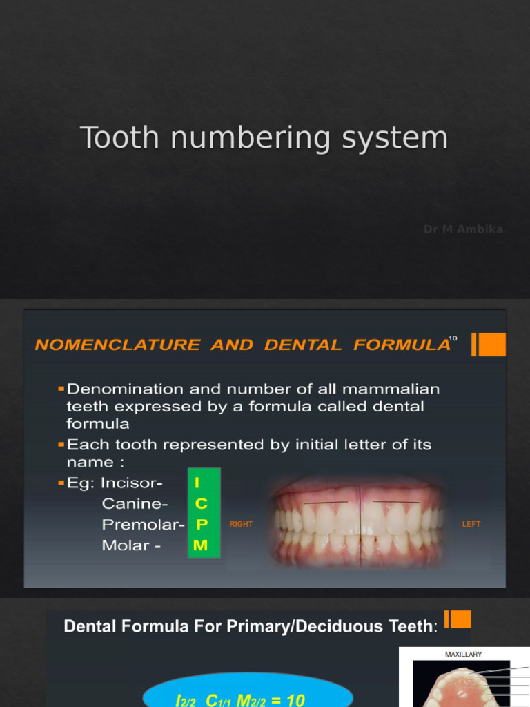 Overview of Tooth Numbering Systems | PDF