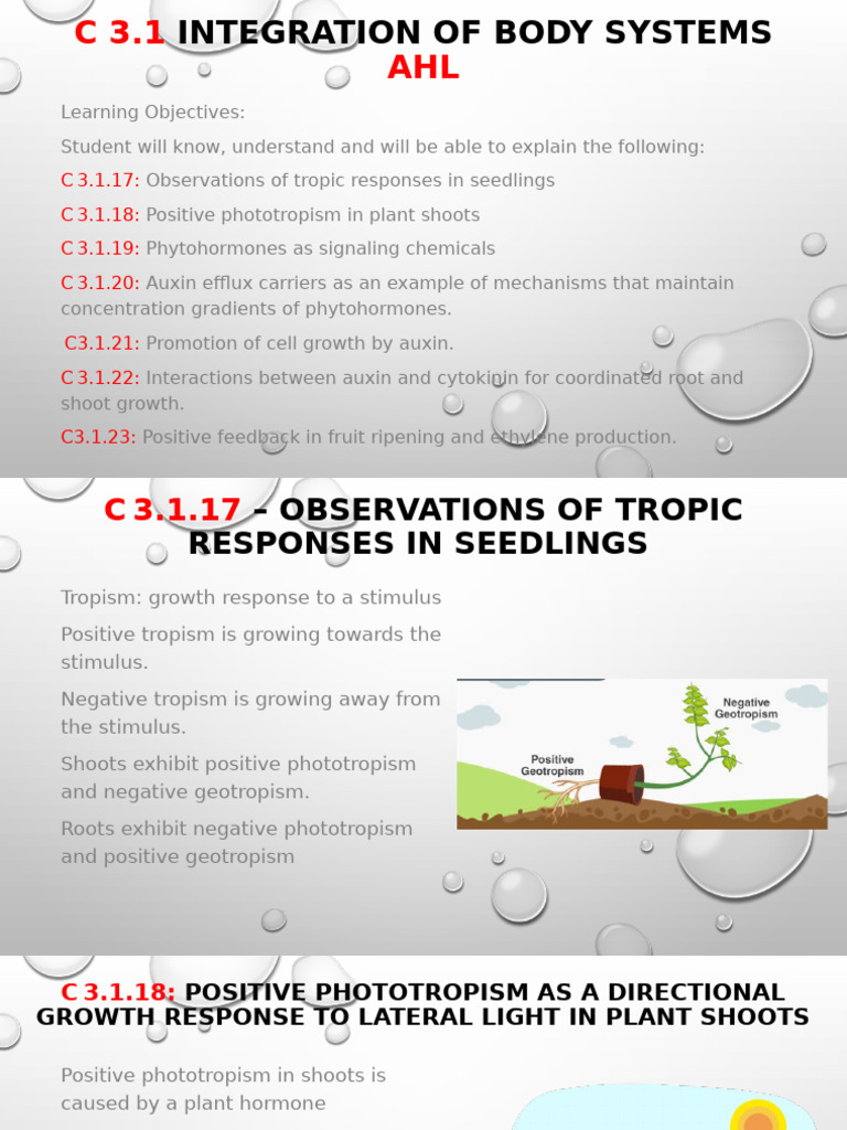 C 3.1 Integration of Body Systems - Ahl | PDF | Auxin | Plant Hormone