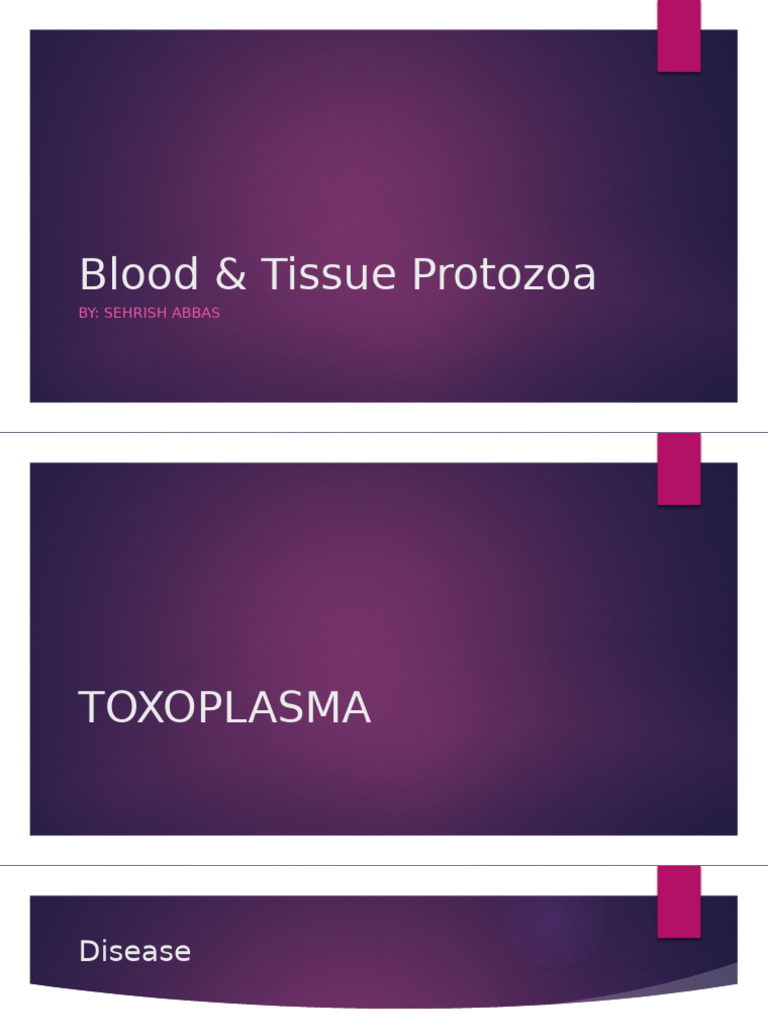 TOXOPLASMA and Pneumocystis | PDF | Diseases And Disorders | Immunology