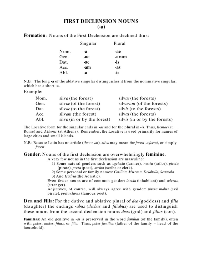 First Declension Noun Endings in Latin | PDF | Linguistic Typology ...