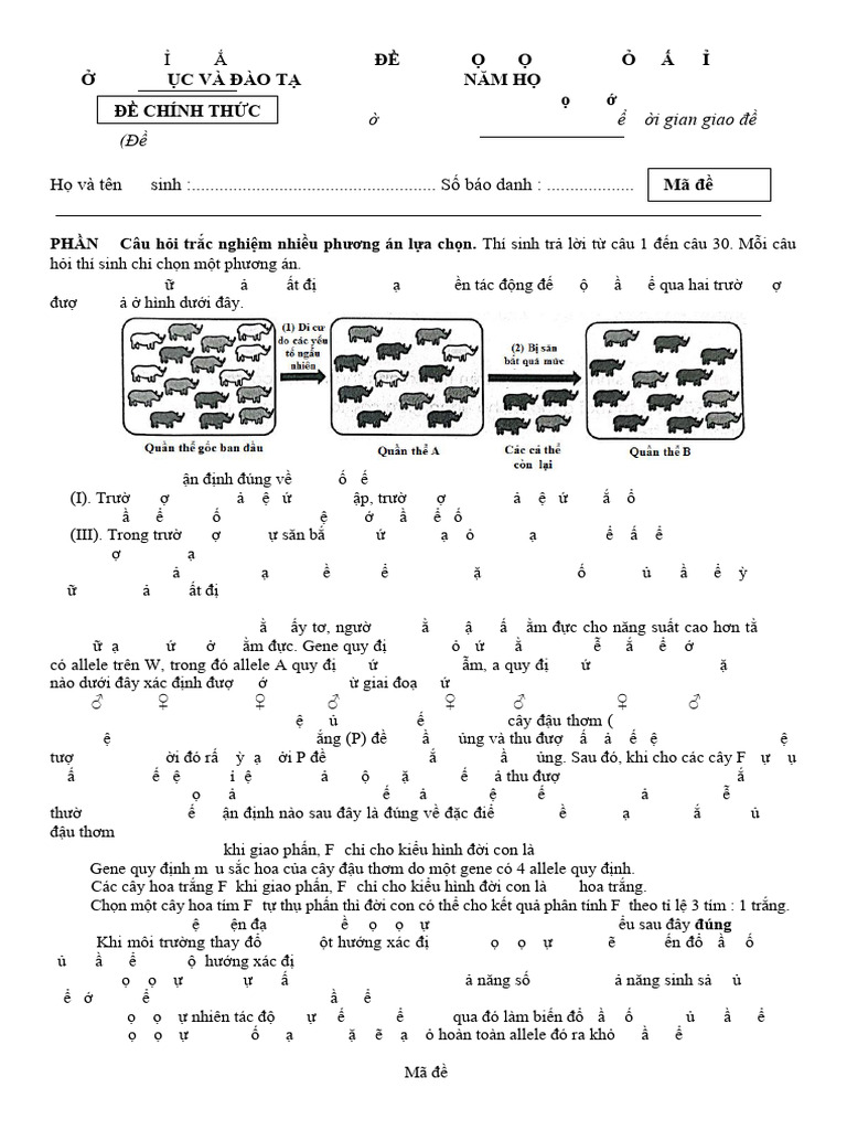 De Thi Chon HSG Sinh Hoc 12 Cap Tinh Nam 2024 2025 So GDDT Bac Ninh | PDF