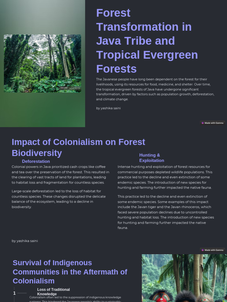 Forest Transformation in Java Tribe and Tropical Evergreen Forests | PDF | Habitat Destruction ...