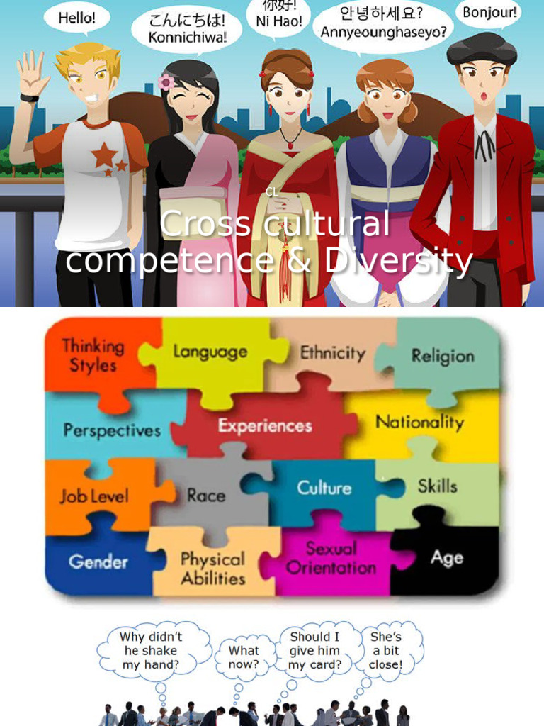 Developing Cross-Cultural Competence | PDF | Learning | Social Psychology