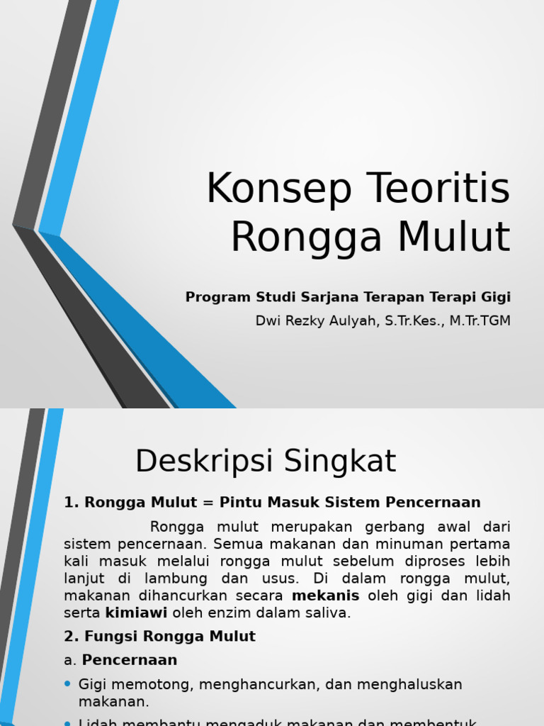 Konsep Teoritis Rongga Mulut | PDF