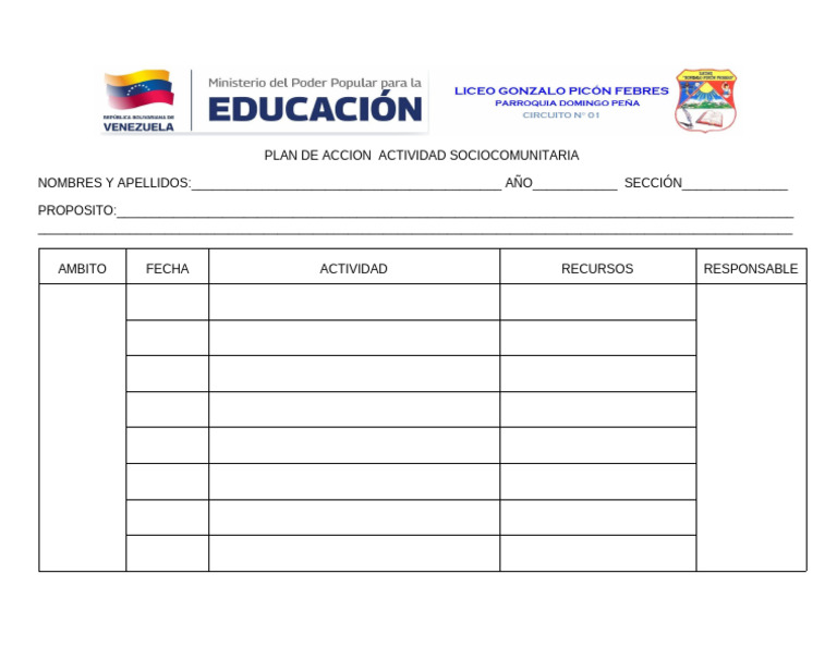 Formato Plan de Accion | PDF