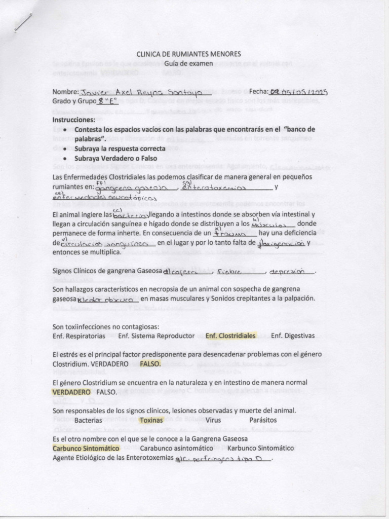 Guia de Examen (Axel Reyna) | PDF