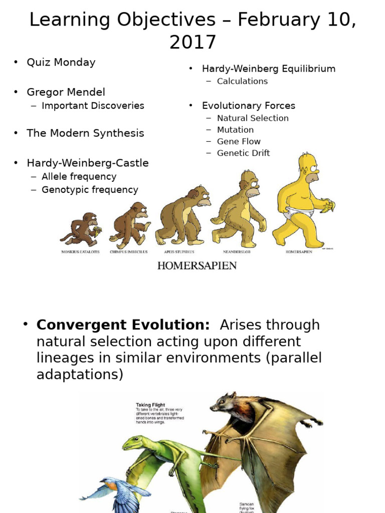 Evolutionary Forces and Mendel's Legacy | PDF | Genotype | Evolution