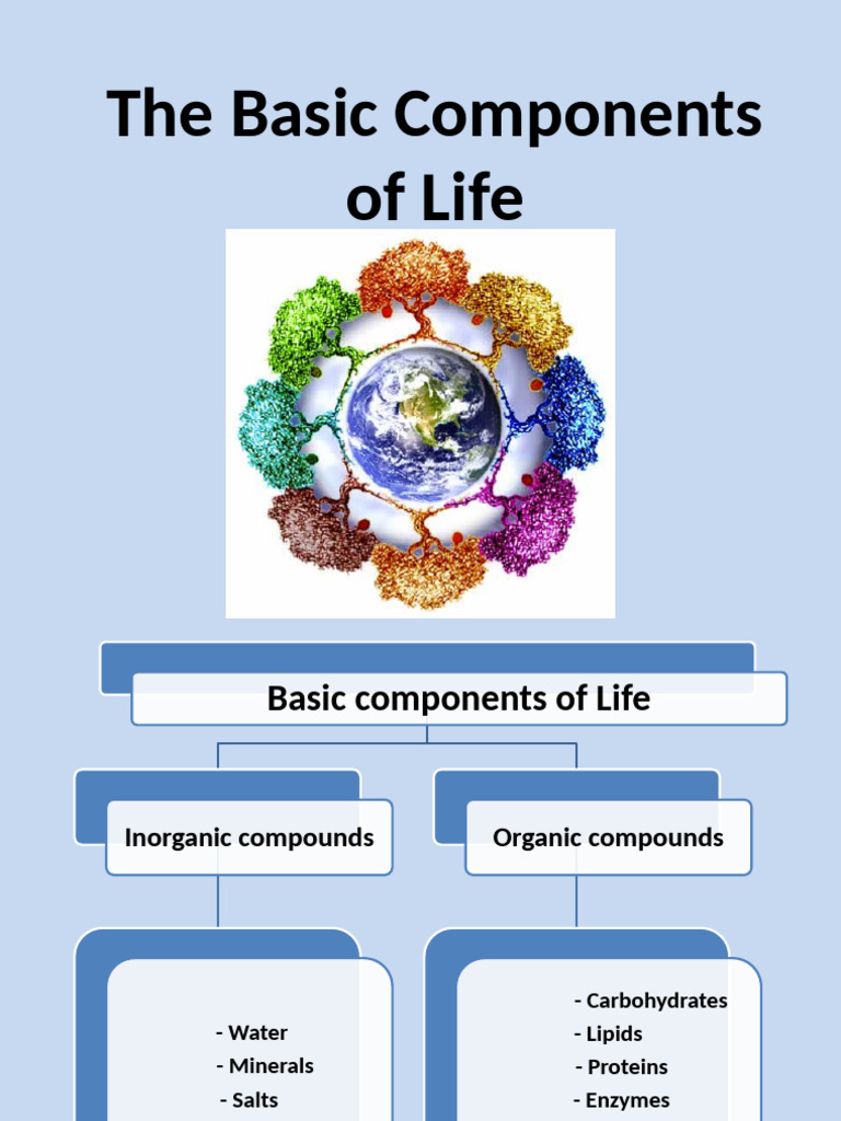 Essential Life Components: Water & Molecules | PDF | Water | Organic ...