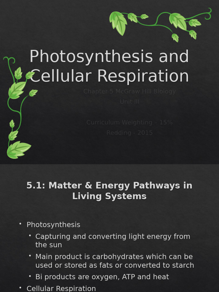 Photosynthesis and Cellular Respiration Overview | PDF | Cellular ...