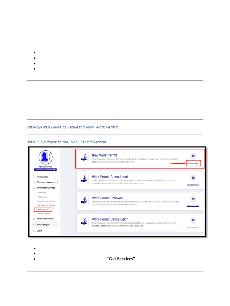 Work Permit Application Process Guide | PDF