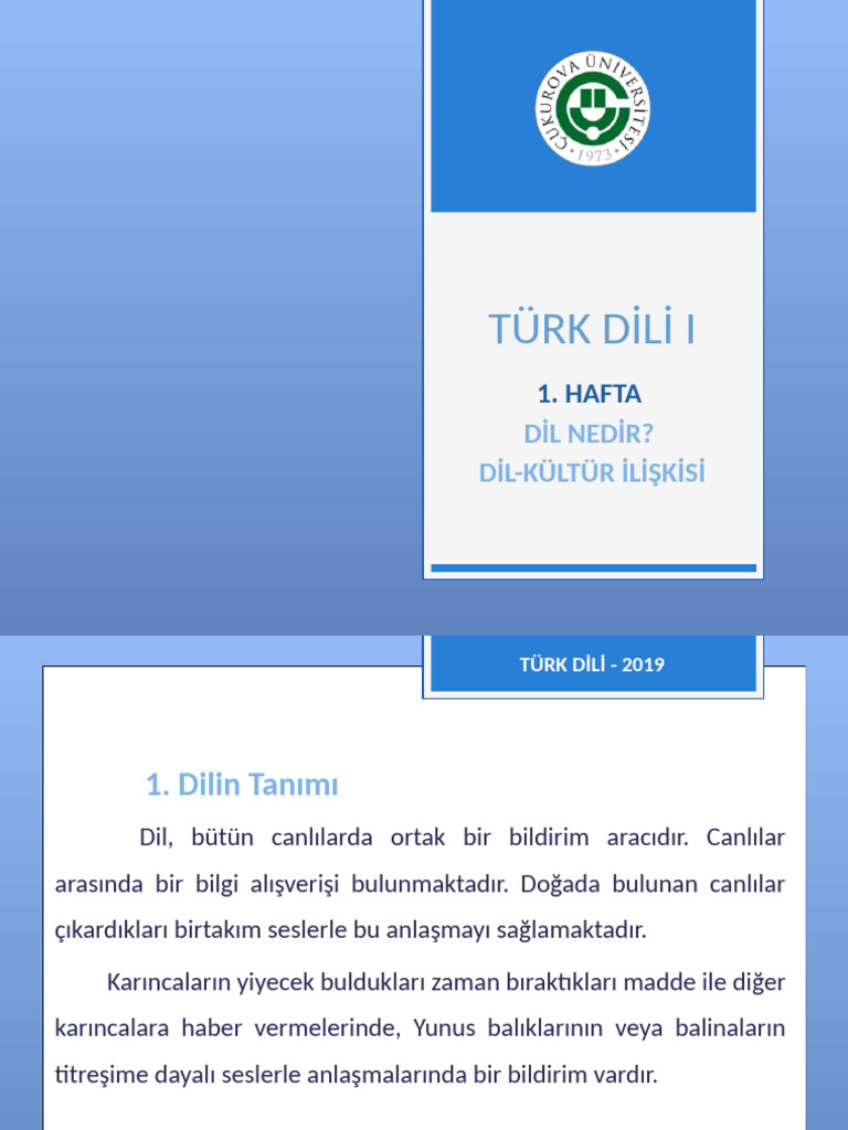 1.hafta Sunu | PDF