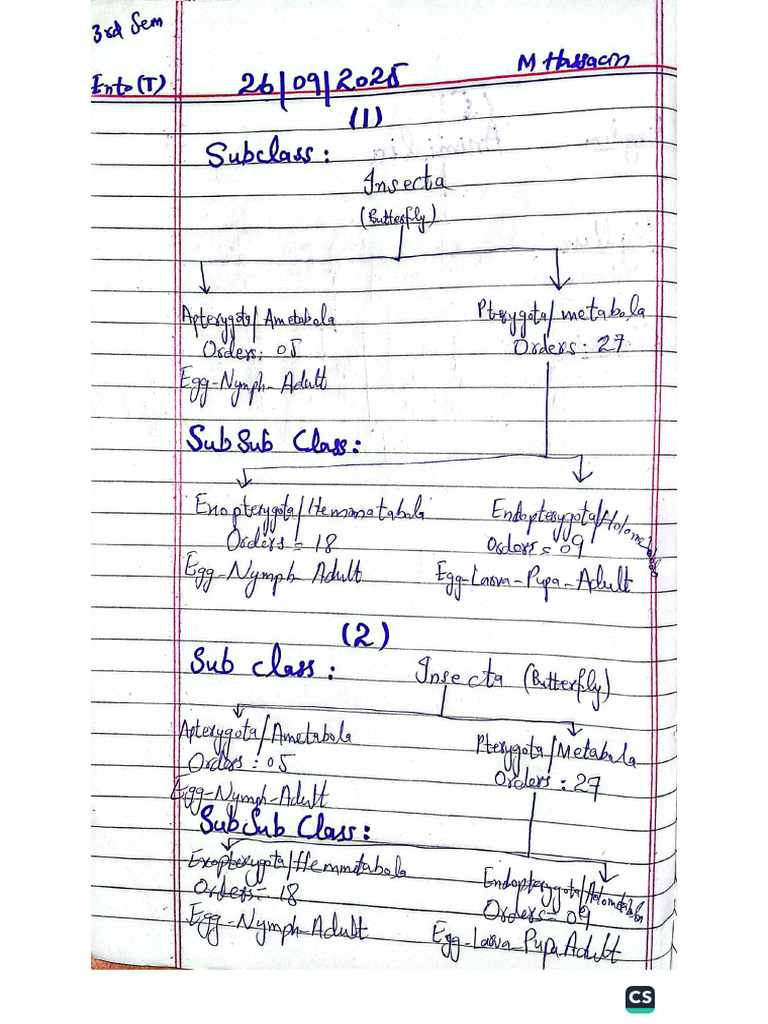 Subclasses of Class Insecta | PDF