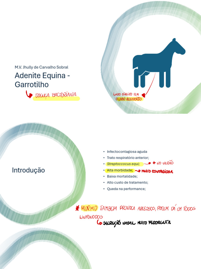 Adenite Equina - Garrotilho | PDF | Microbiologia | Remédio