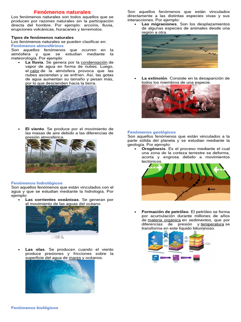 Tipos de fenómenos naturales | PDF | Herida | Agua