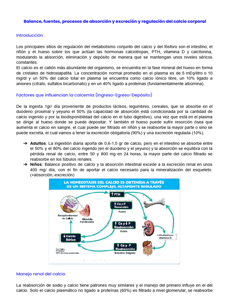 Balance, Fuentes, Procesos de Absorción y Excreción y Regulación Del ...