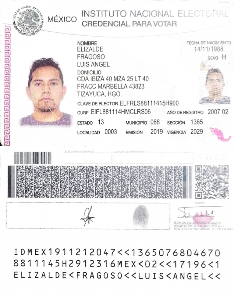 INE Luis Elizalde | PDF
