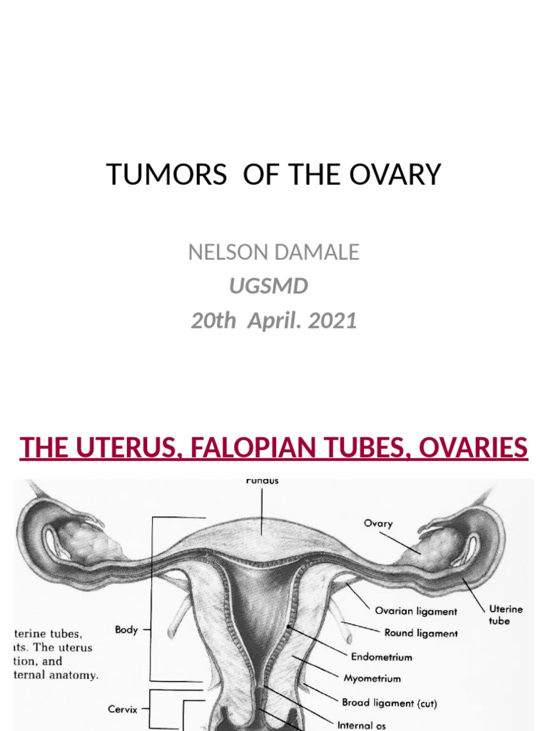Ob-Gyn 29. Tumours of The Ovary - 04 - 2021 | PDF | Ovarian Cancer ...