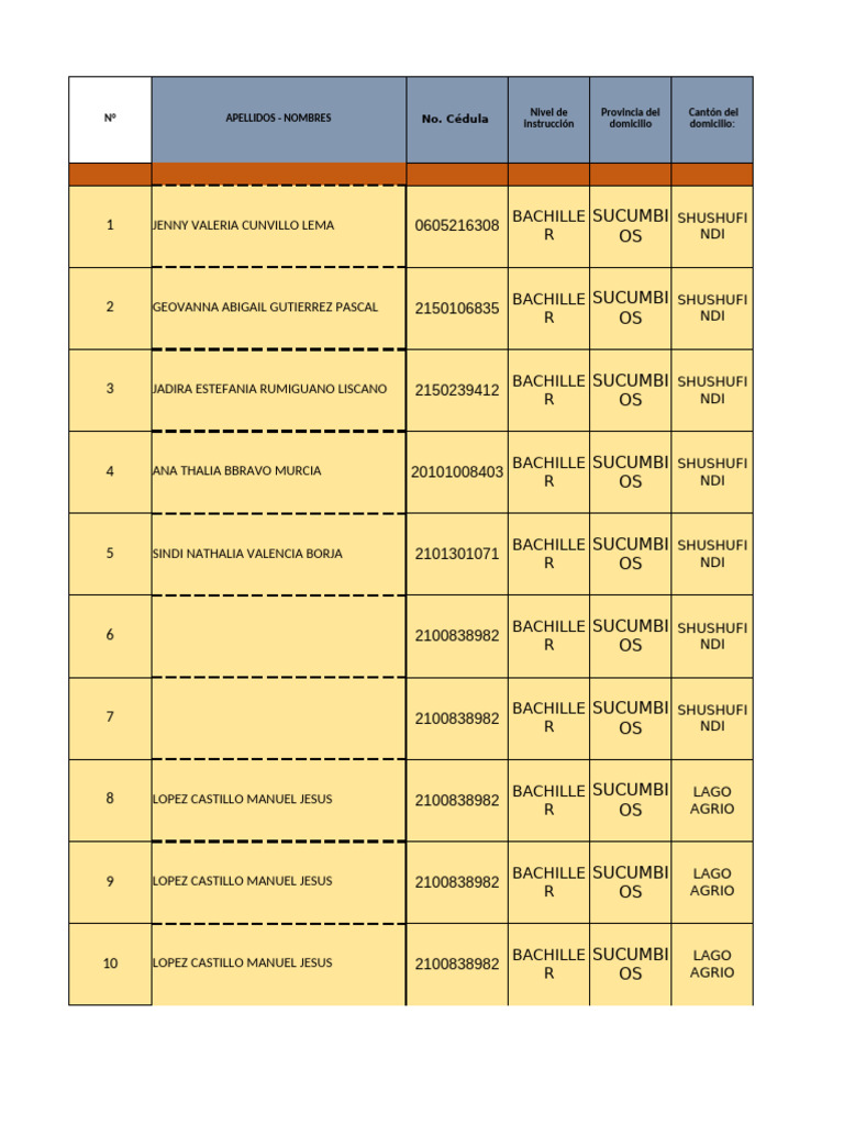 Formato Ministerio de Trabajo | PDF