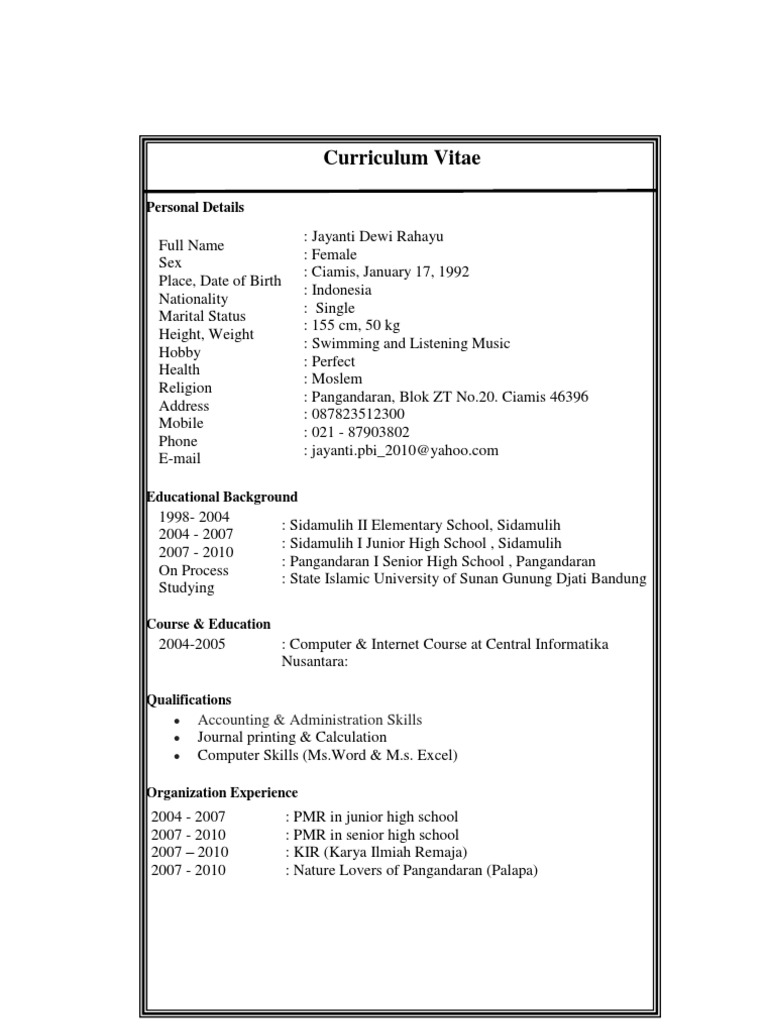 Curriculum Vitae BISNIS | PDF