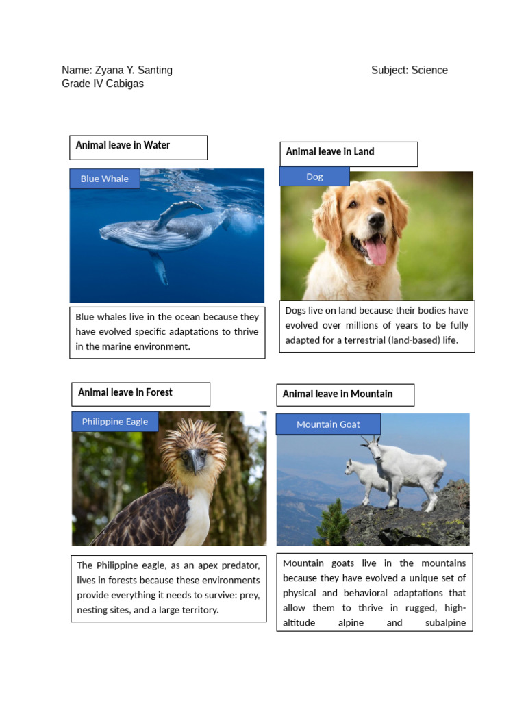 Zyana Project Science | PDF