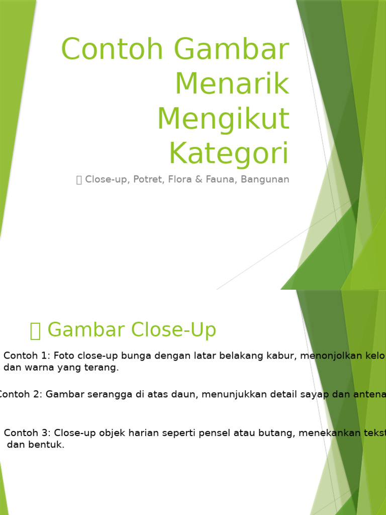 Contoh Gambar Dan Kategori Fotografi | PDF