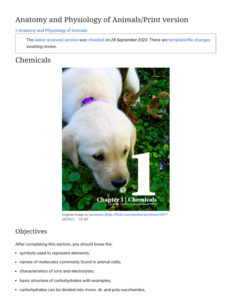 Anatomy and Physiology of Animals - Print Version - Wikibooks, Open Books For An Open World ...