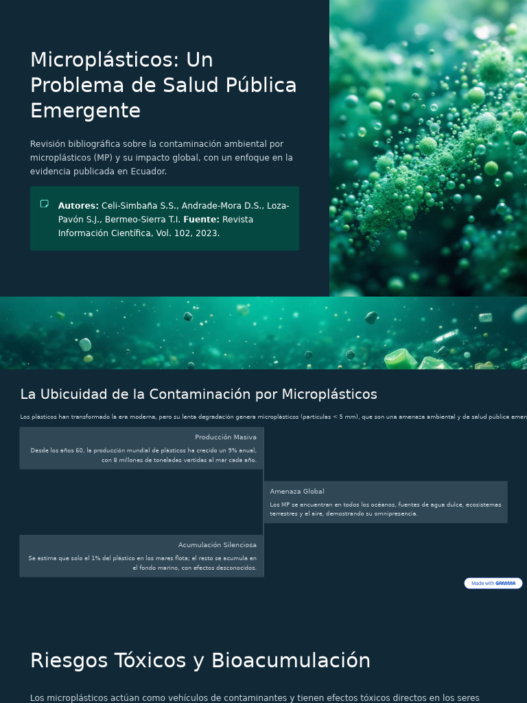 Microplásticos en Ecuador: Riesgos y Evidencias | PDF | Naturaleza ...
