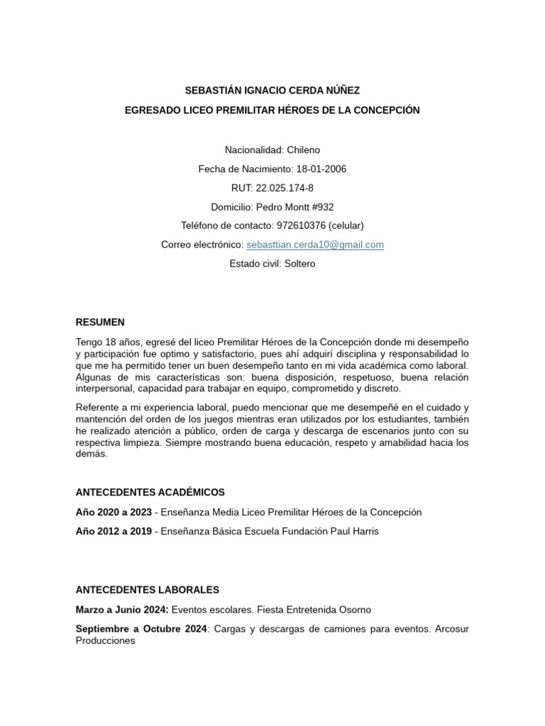 SebastiÃ¡n Ignacio Cerda NuÃ Ez CV | PDF