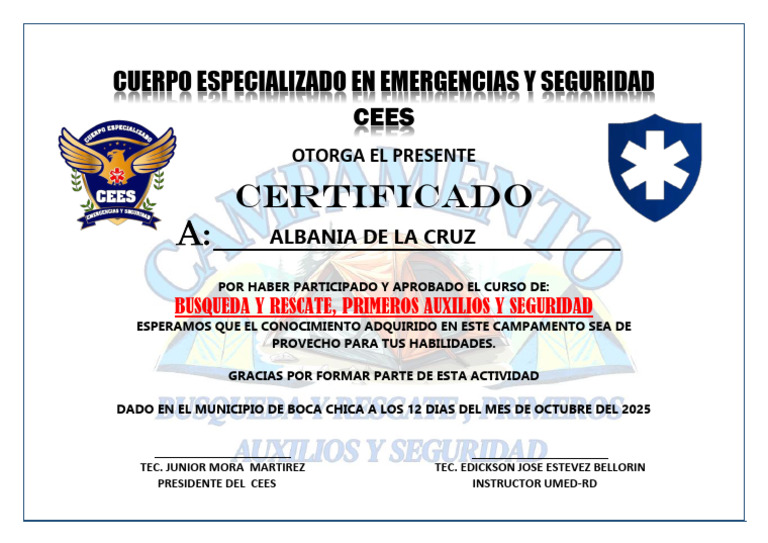 Certificado Cees | PDF