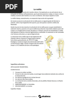 Maniobras de Bostezo en la Rodilla | PDF | Rodilla | Anatomía del ...