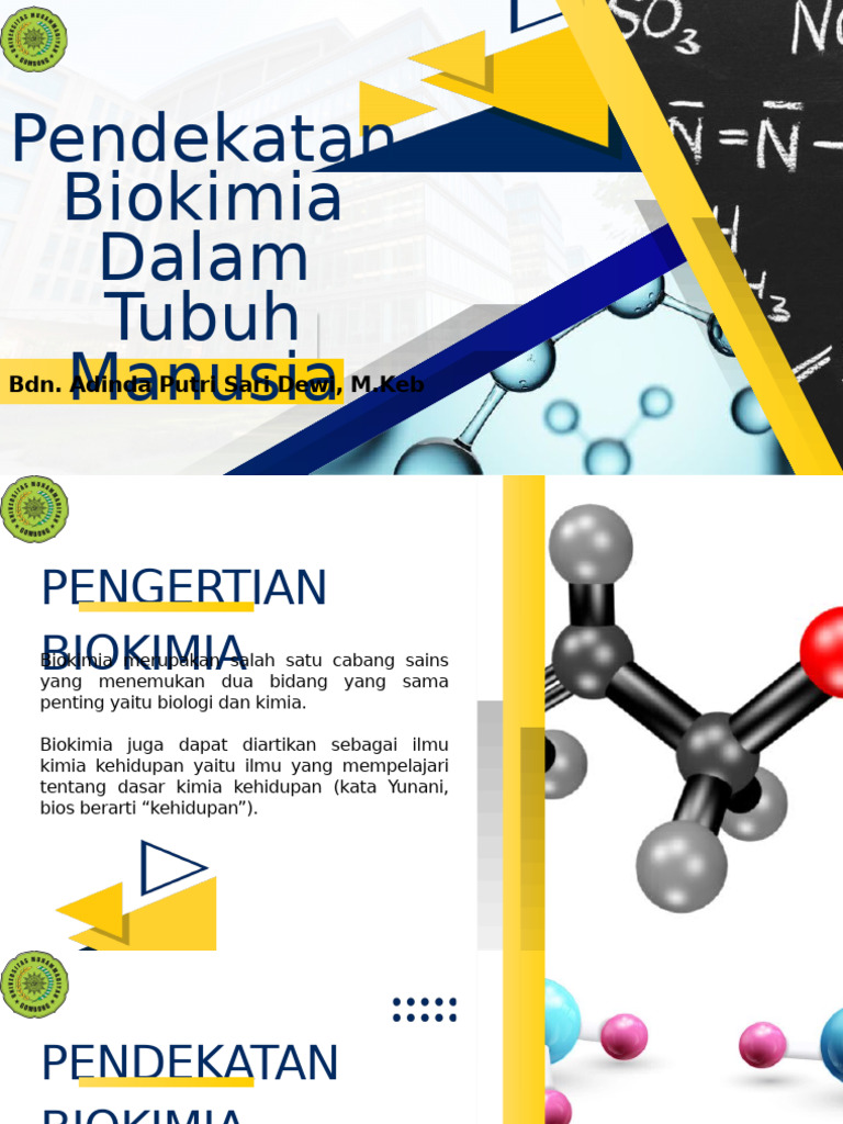 25 Sept 25 - BIOKIMIA 1 - PPT - Pendekatan Biokimia Dalam Tubuh Manusia ...