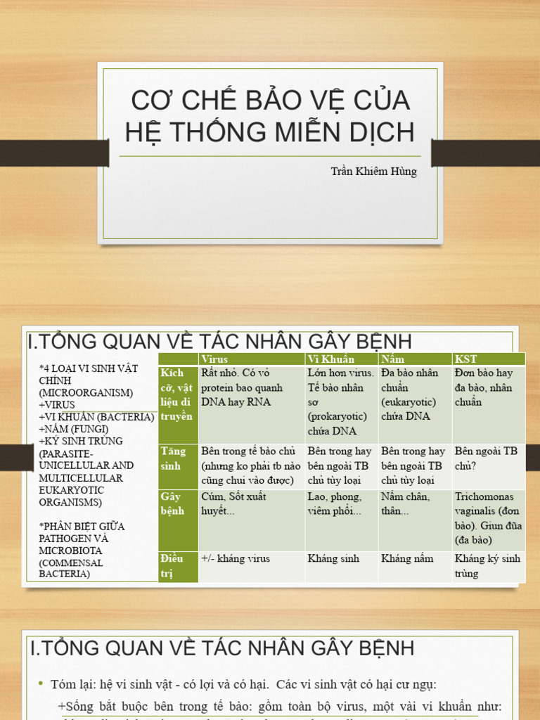 Bài 2. Cơ Quan Và Tế Bào Miễn Dịch | PDF