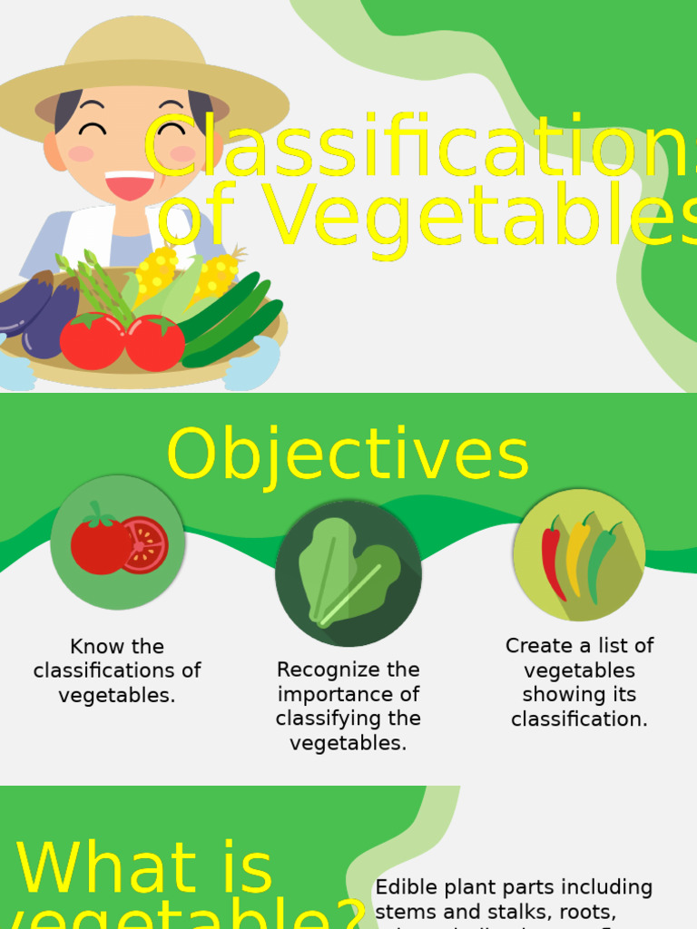 Vegetable Classification Overview | PDF