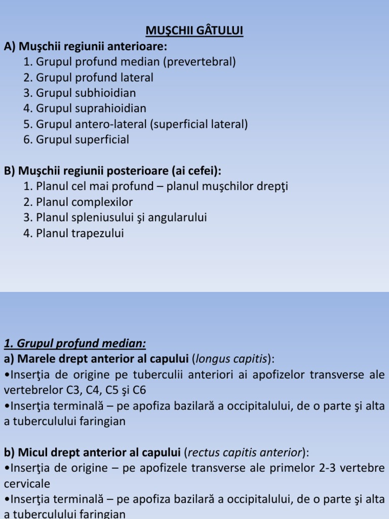 muschii gatului