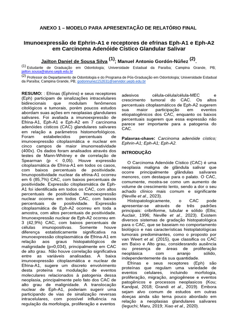 Modelo de Relatorio Uepb CNPQ Pivic | PDF | Neoplasmas