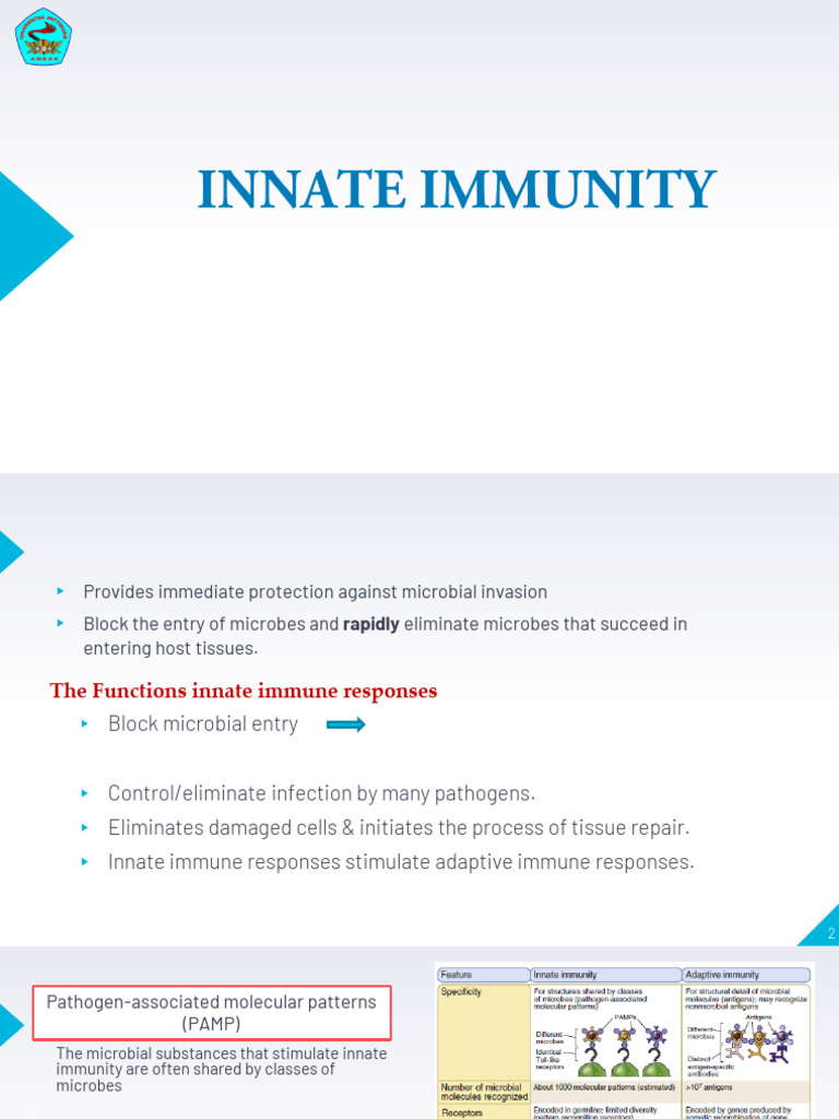 Innate Immunity and Immune Responses | PDF | T Cell | Immune System