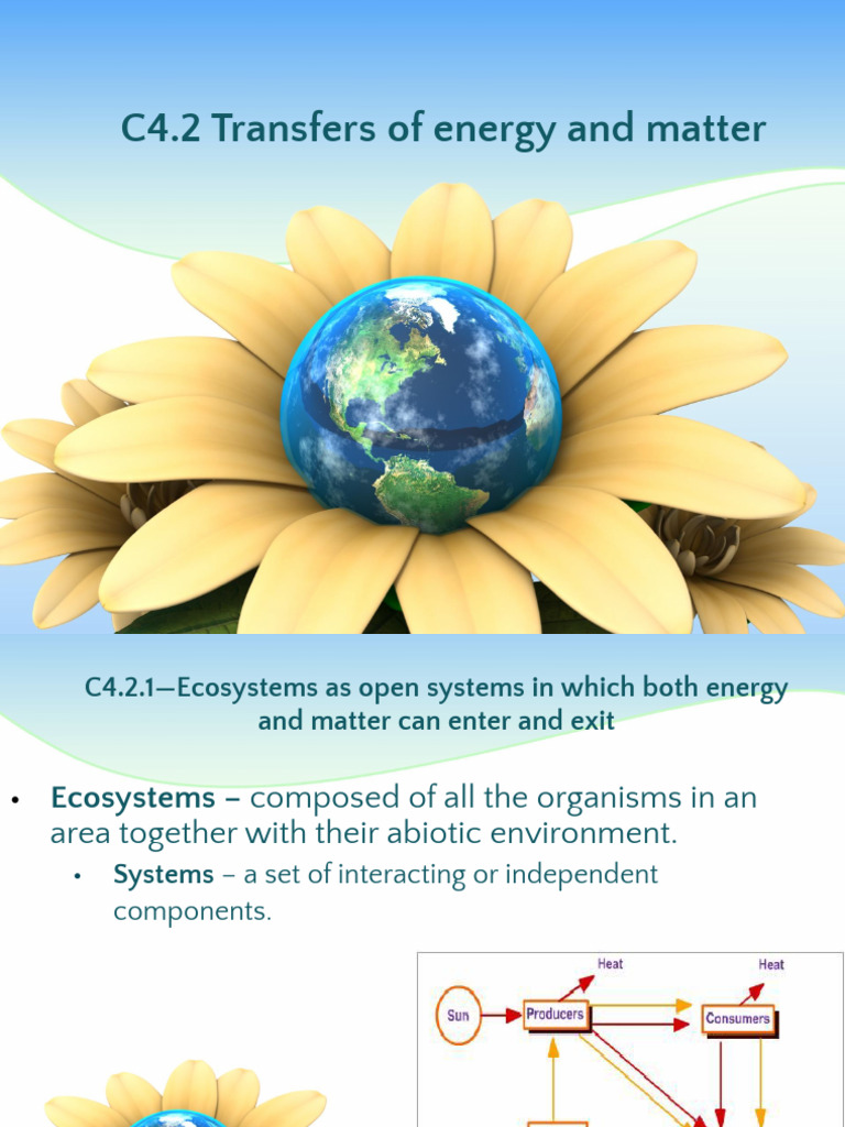 Energy and Matter in Ecosystems | PDF | Food Web | Primary Production