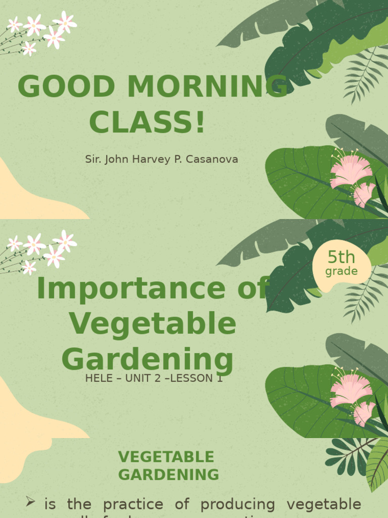 Good Morning Class!: Sir. John Harvey P. Casanova | PDF | Compost | Sowing