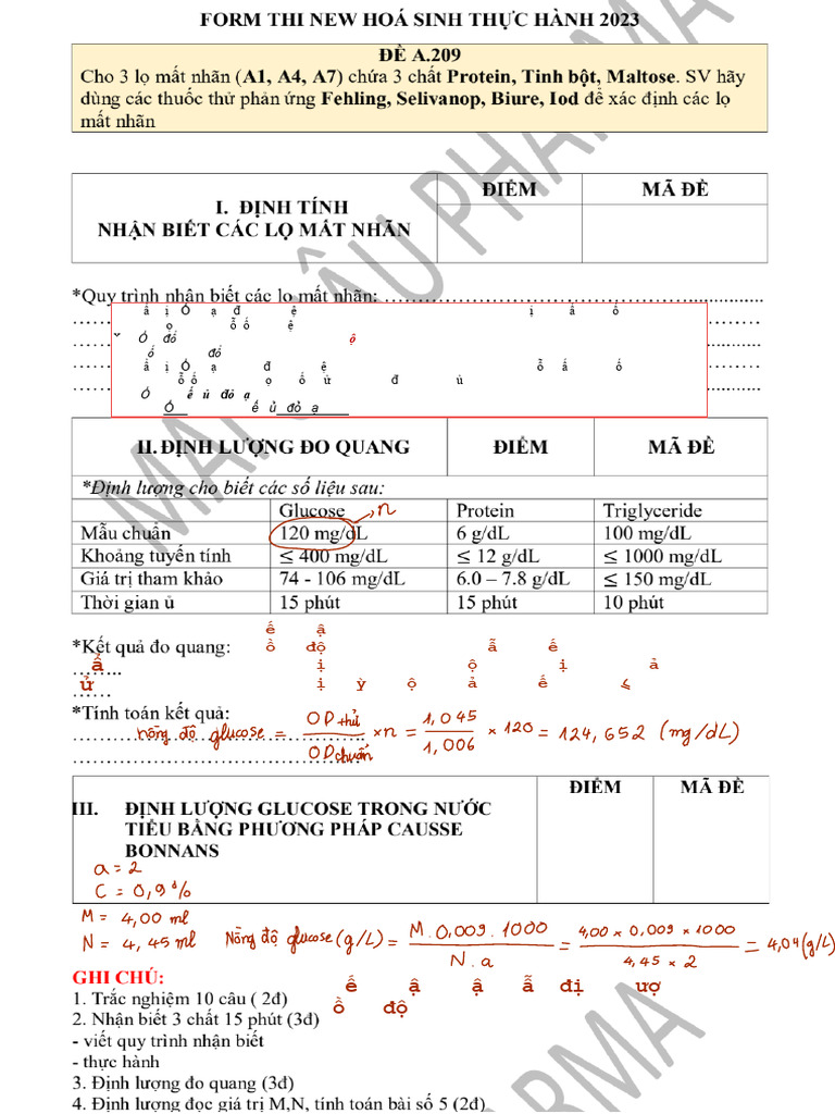 Form Đề Thi HS | PDF
