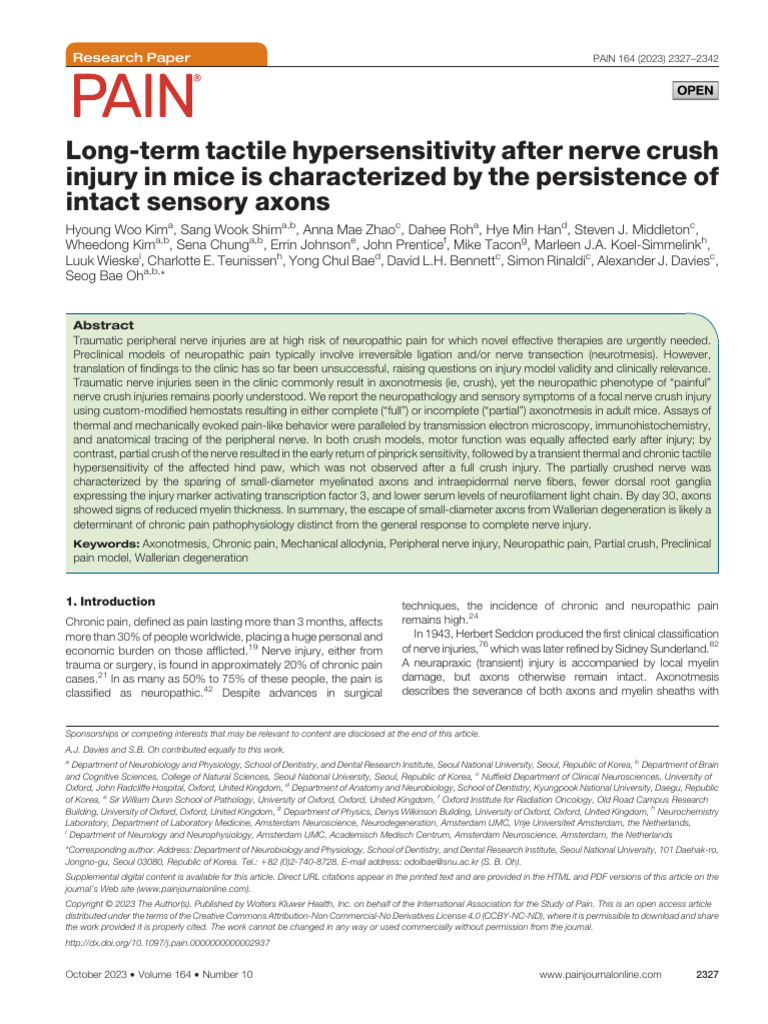 Long Term Tactile Hypersensitivity After Nerve | PDF | Pain | Axon