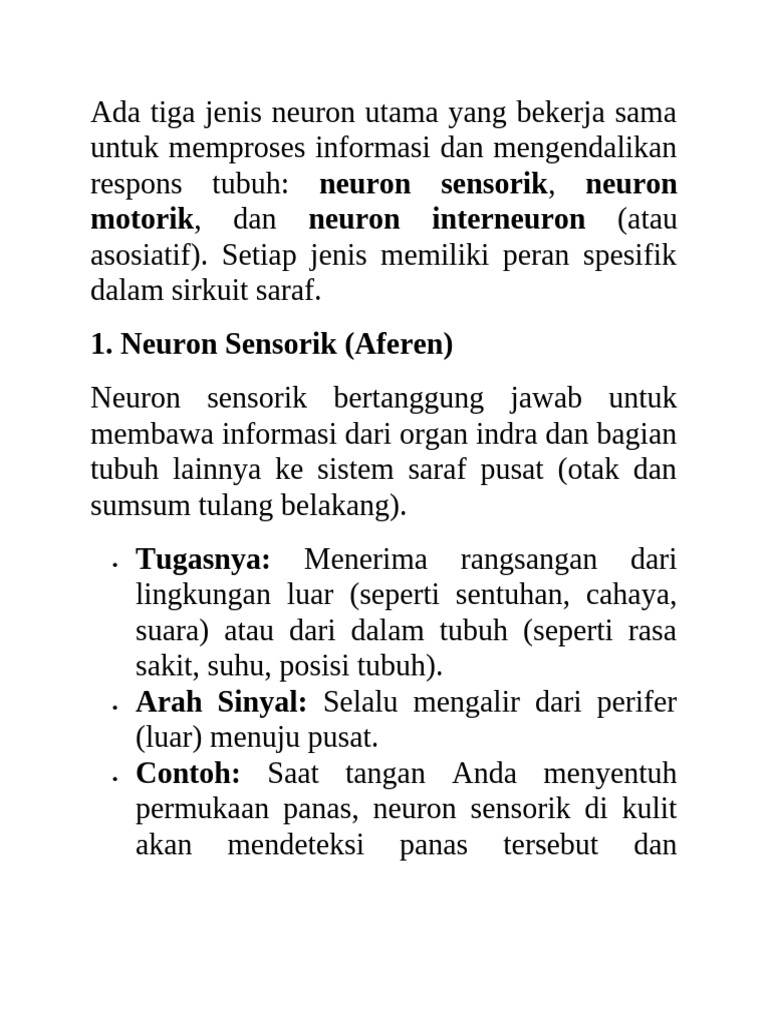 Tiga Jenis Neuron dan Fungsinya | PDF